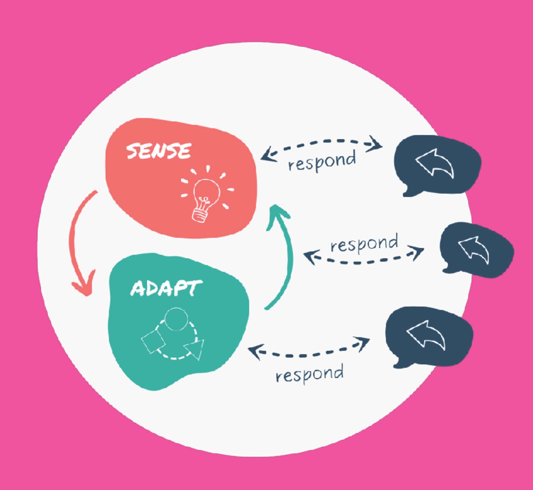 Transformation in a Complex World | Strategy Guide